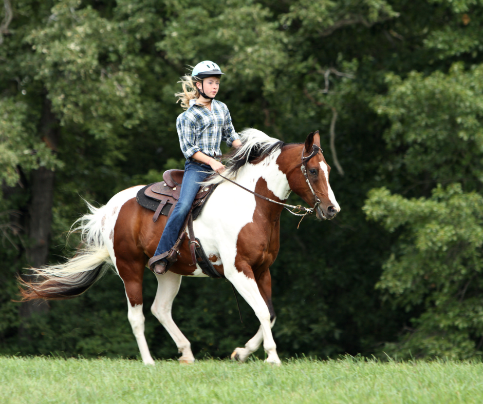7 Benefits of Horseback Riding | Health, Fitness & Mental Wellness